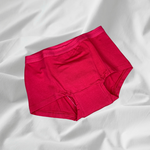 Cheeky Pants | Shop Period Pants that work!