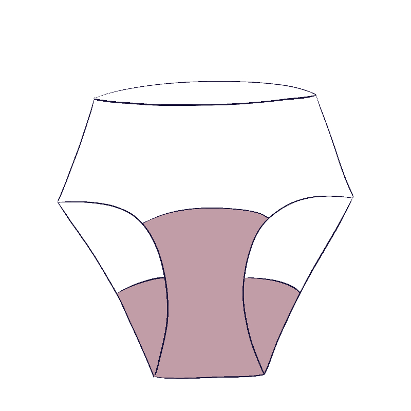 Feeling Sleek - Seamless No VPL Period Pants | Cheeky Wipes